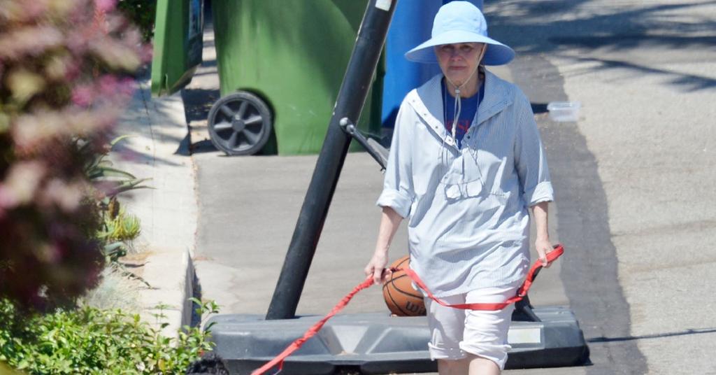 Frail Sally Field, 77, Looks Unrecognizable Walking Her Dog: Photos