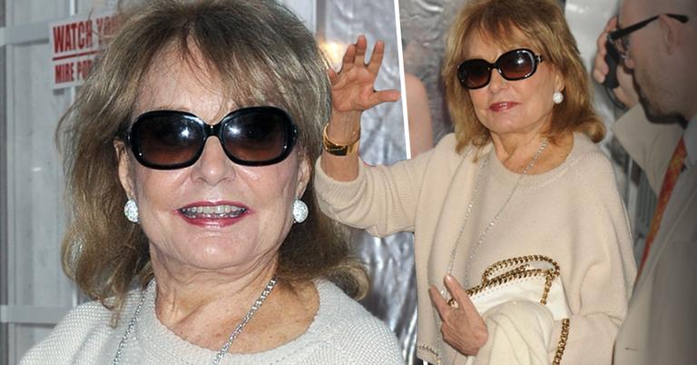 Barbara Walters' Last Photos Before Going Into Hiding