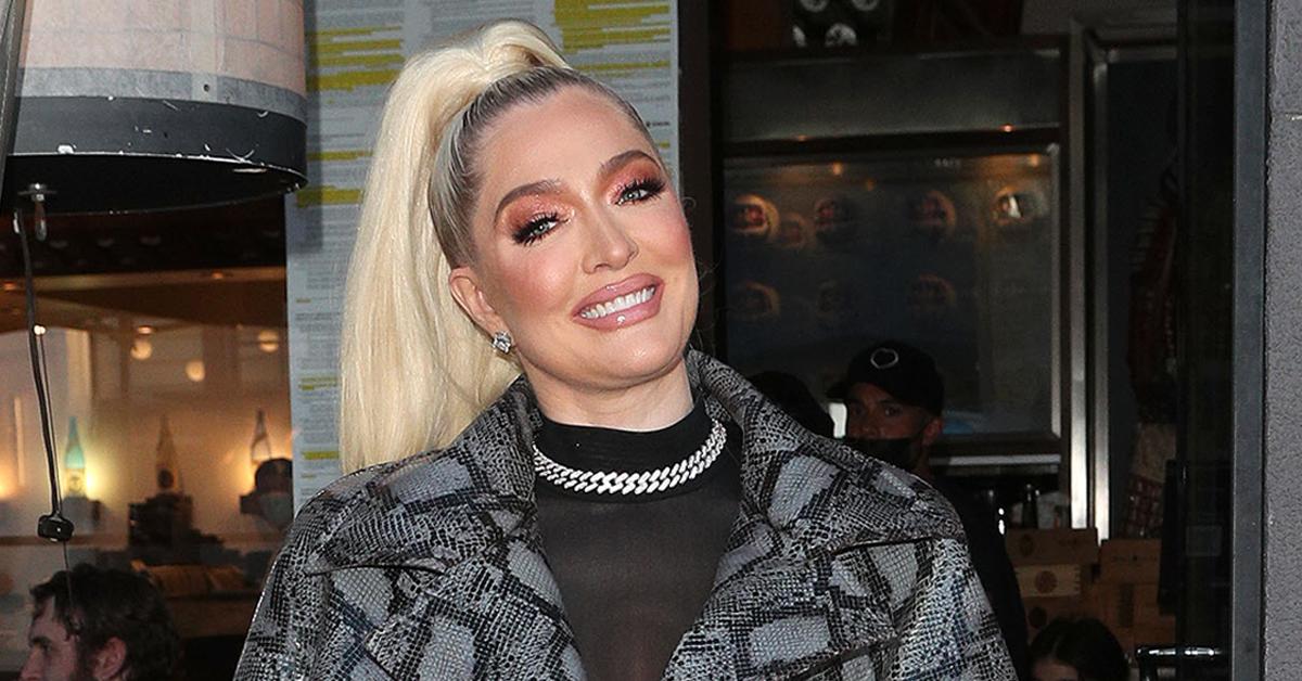 Lawyer Fears 'RHOBH' Star Erika Jayne Could Hide Assets Unless His ...