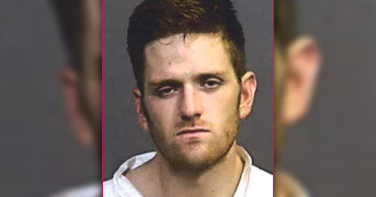 Ex-'Real Housewives of Orange County' Star Josh Waring Begs Judge To ...