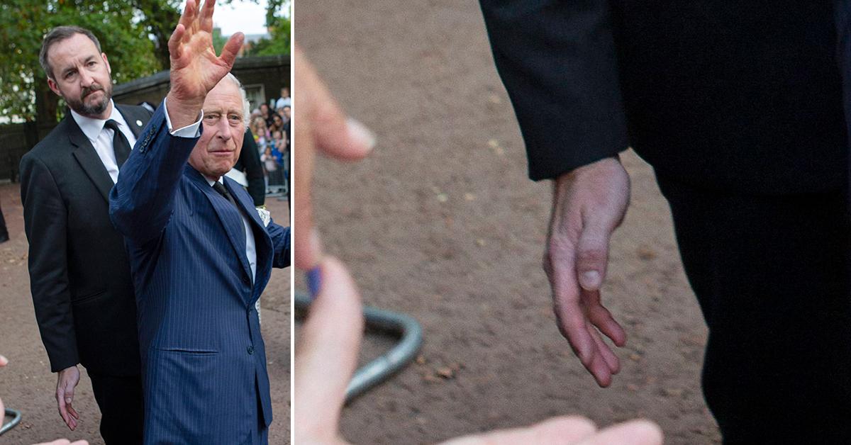 Conspiracists Think King Charles III's Bodyguards Have Fake Hands