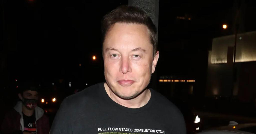 Elon Musk Accuses Alleged 'Stalker' Of Following His 2-Year-Old Son ... Elon Musk Accuses Alleged 'Stalker' Of Following His 2-Year-Old Son ...