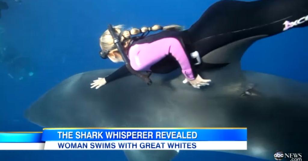 Young Hawaiian Woman Swims With Great White Sharks Young Hawaiian Woman Swims With Great White Sharks