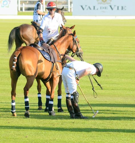 Prince Harry Falls Headfirst Off His Horse During Charity Polo Match