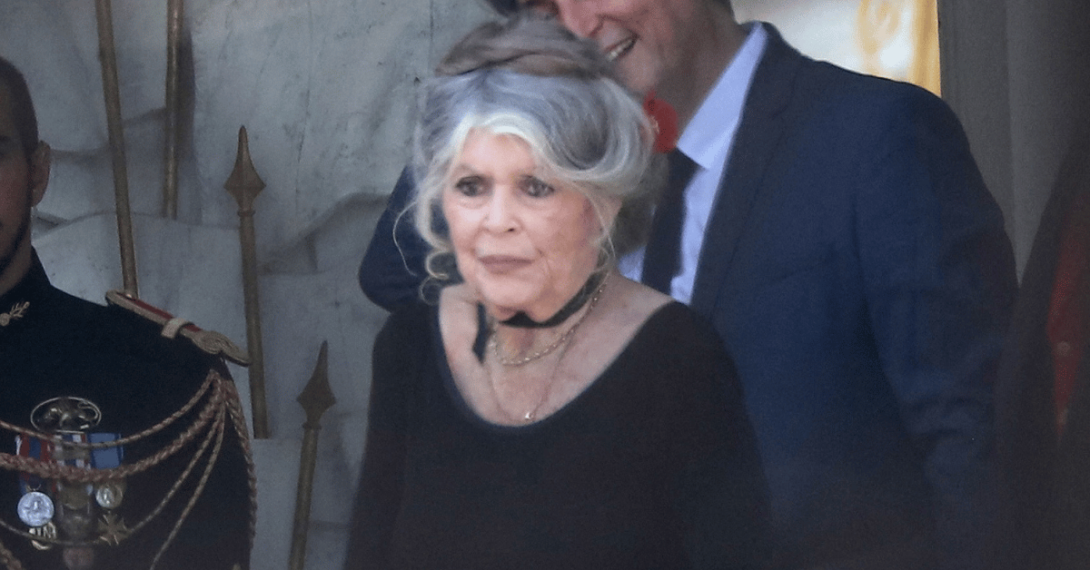 Brigitte Bardot, 91, Rushed to the Hospital For The Second Time in Weeks