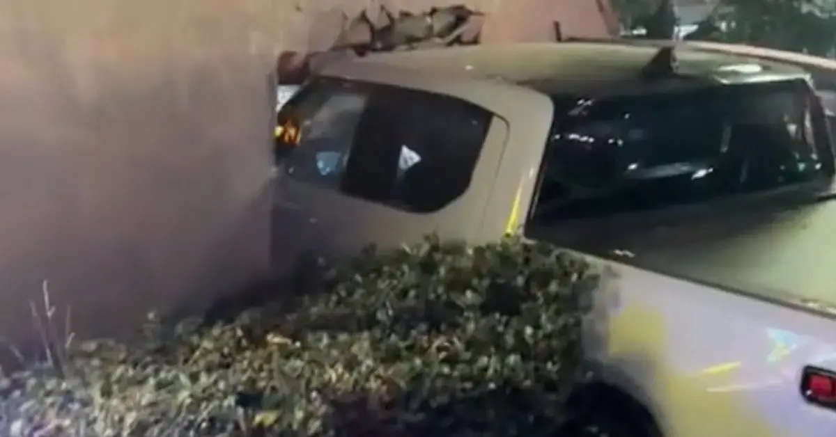 'Succession' Star Alan Ruck Denies Wrongdoing in Lawsuit Over Pizza ...