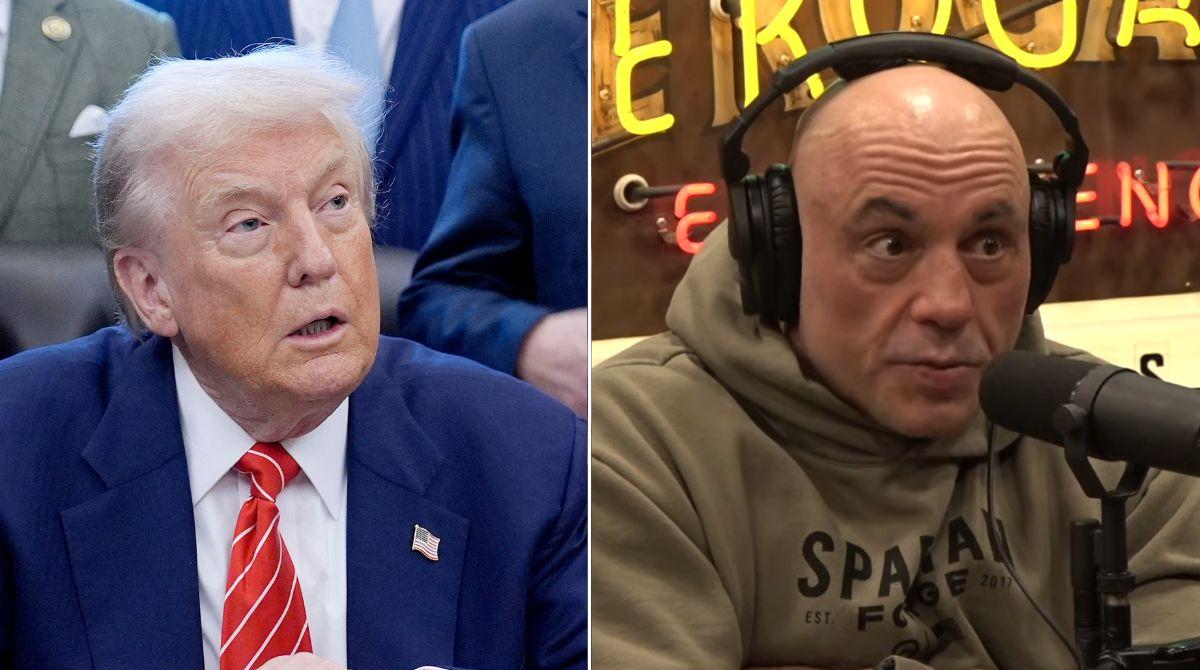 Donald Trump Insists Joe Rogan Is a 'Great Guy' Amid His ICE Criticism