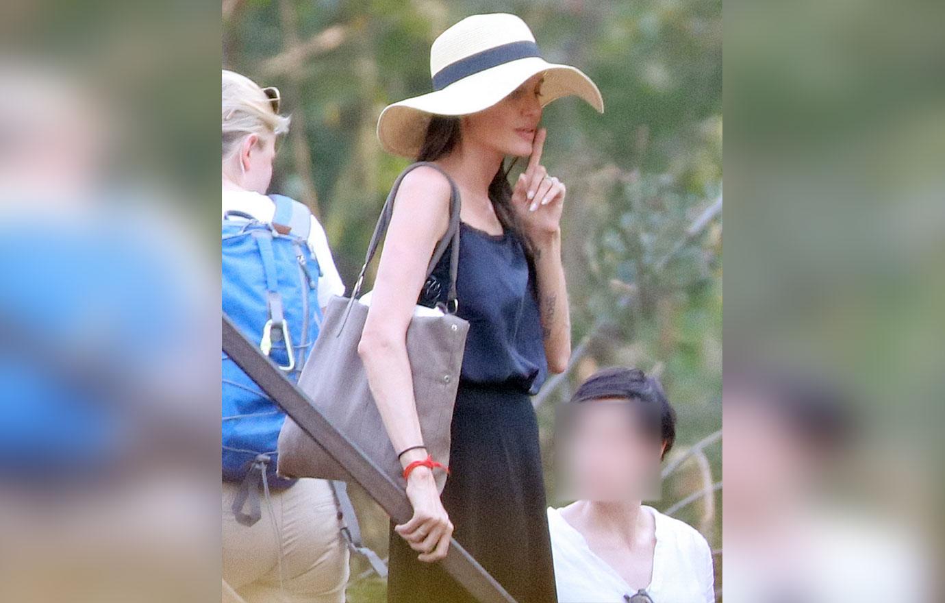 Angelina Jolie Weight Loss -- Actress Undergoes Sheep Placenta Procedure