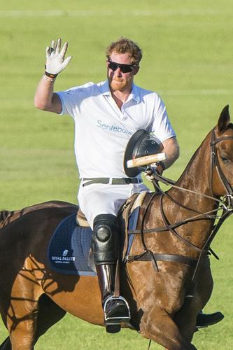 Prince Harry Falls Headfirst Off His Horse During Charity Polo Match