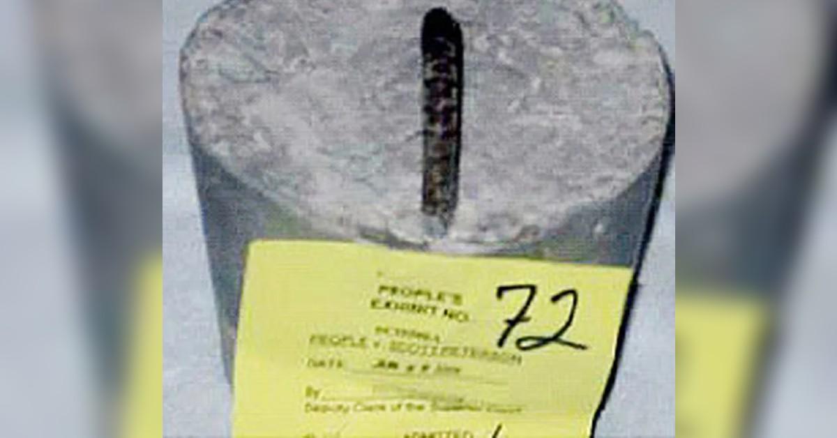 Scott Peterson Horrors: We Reveal the Crime Scene Photos That Sickened ...