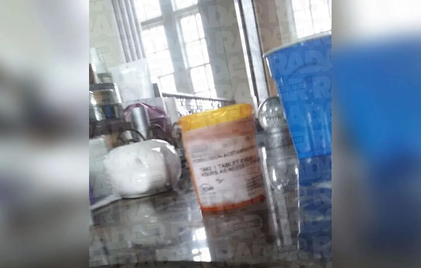 Inside Lisa Marie Presley's Pill, Powder & Booze-Filled 'Drug Den'