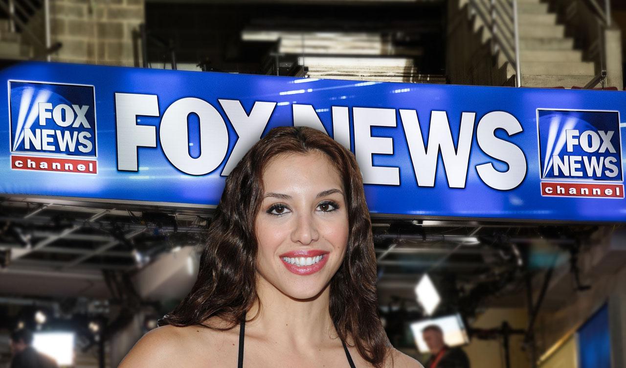 Fox News Lawsuit Over Discrimination -- Diane Falzone Claims Human ...