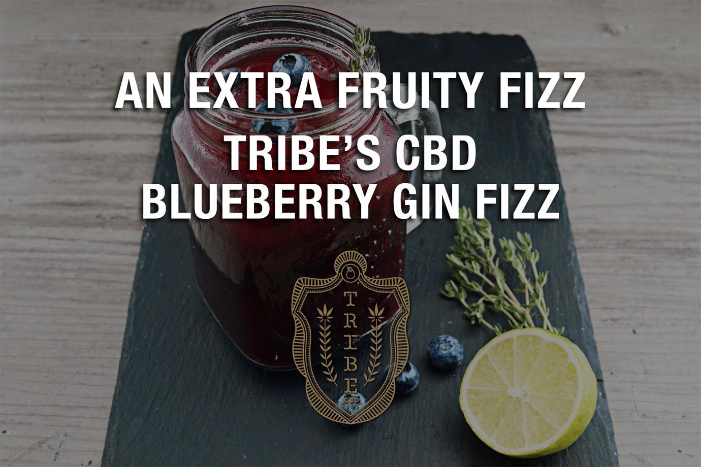 An Extra Fruity Fizz — Tribe’s CBD Blueberry Gin Fizz