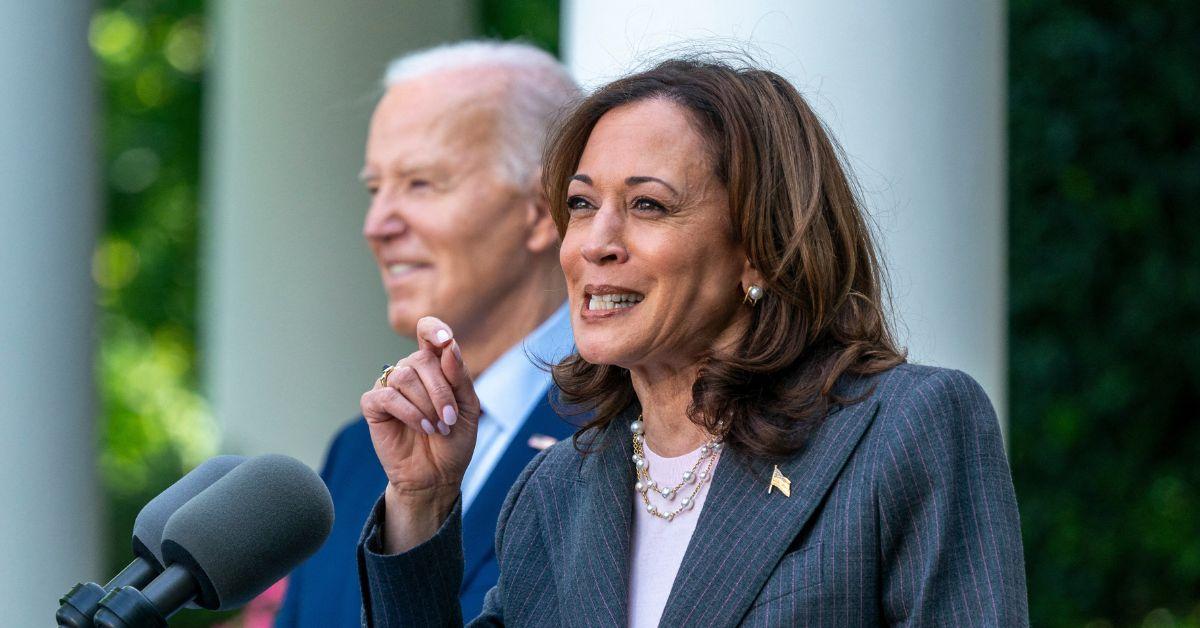 WATCH: Kamala Harris Clashes With Pro-Palestine Protestor During Heated ...