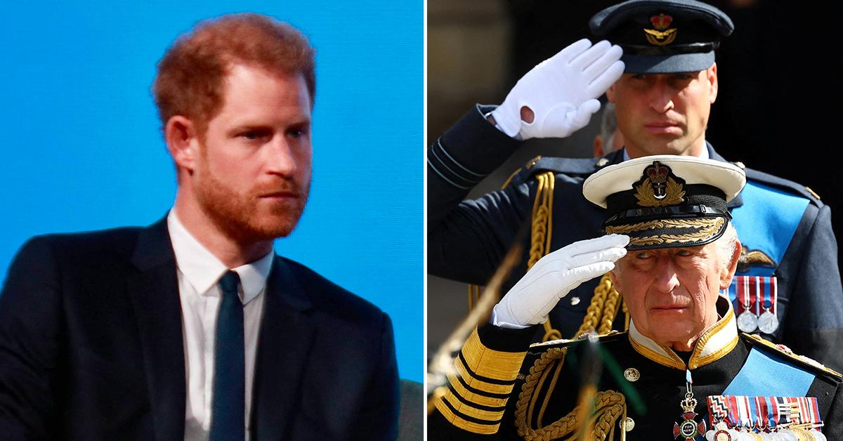 Prince Harry Wants His Father & Brother Back