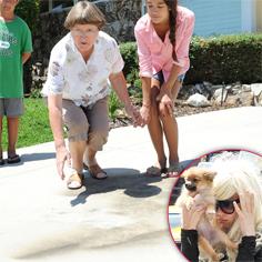 Victim Of Amanda Bynes Driveway Fire: We Never Said Her Parents Should ...