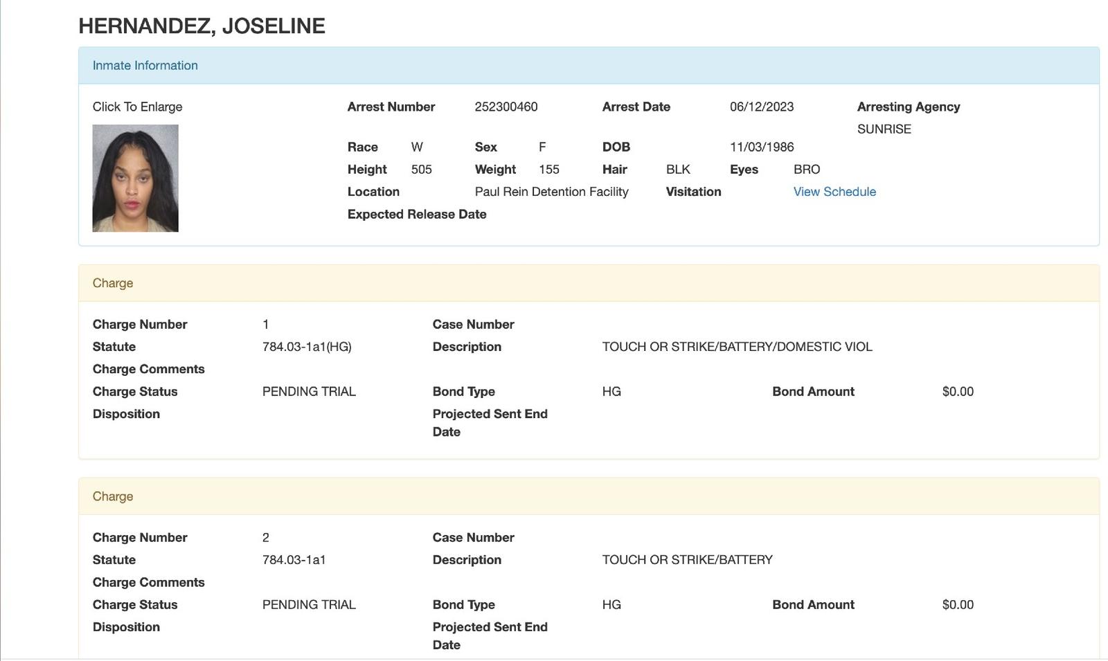 See Reality Star Joseline Hernandez's Mug Shot After Arrest for Battery, Other Charges