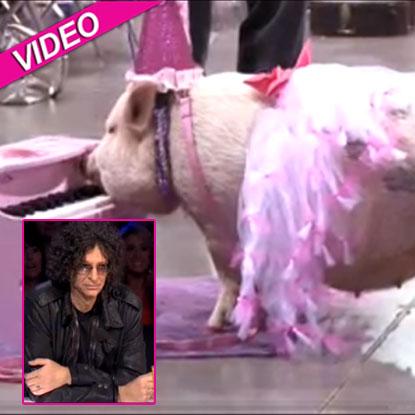 America’s Got Talent: Howard Stern Hams It Up With Smooch The Pig