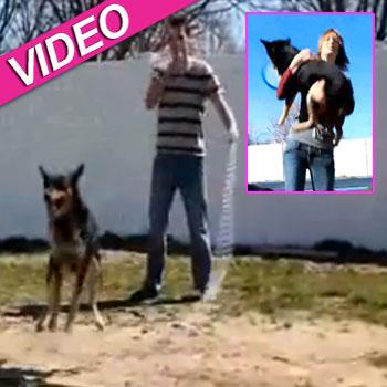 Four Paws In! Skipping Dog Masters The Double Dutch