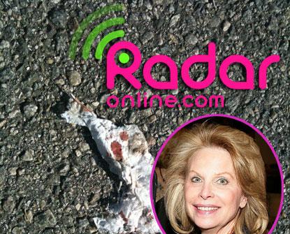 EXCLUSIVE: Crime Scene Photos & New Details On Murder Mystery Of Top ...
