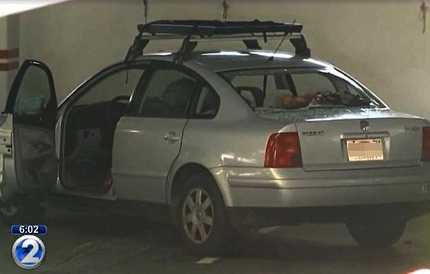 Pro Surfer Jill Hansen Charged With Attempted Murder