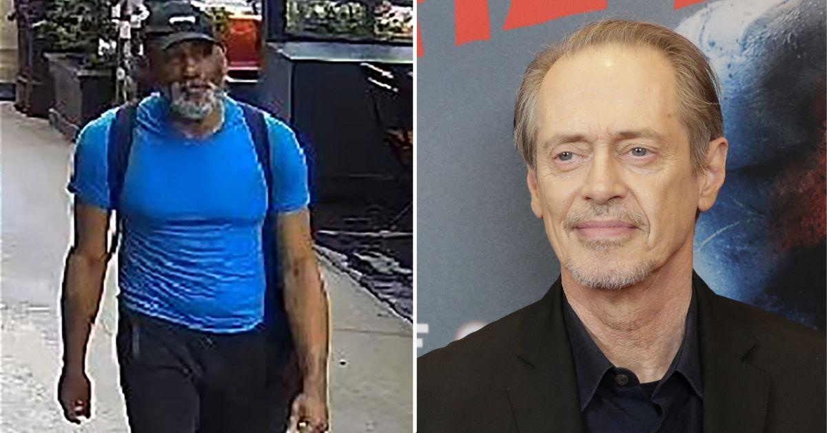 Man Suspected of Sucker-Punching Steve Buscemi Arrested at Homeless ...