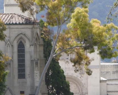 PHOTOS: Scenes From Elizabeth Taylor's Funeral