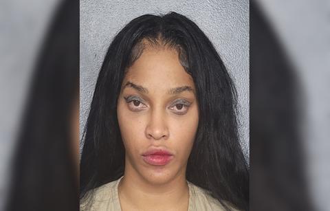 See Reality Star Joseline Hernandez's Mug Shot After Arrest for Battery, Other Charges