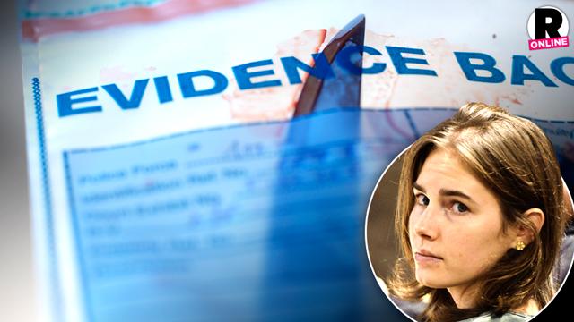 Leading Forensic Profiler Blasts Amanda Knox DNA Evidence As 'Made Up ...