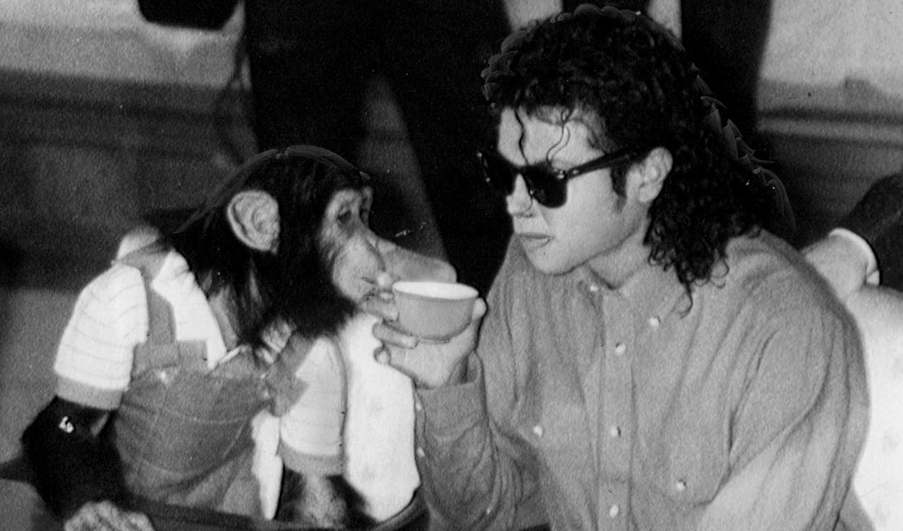Michael Jackson Pet Chimp Bubbles Movie Getting Made
