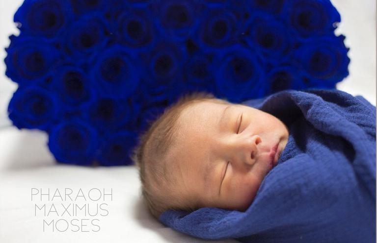 'Apprentice' Star Katrina Campins Gives Birth To Baby Boy