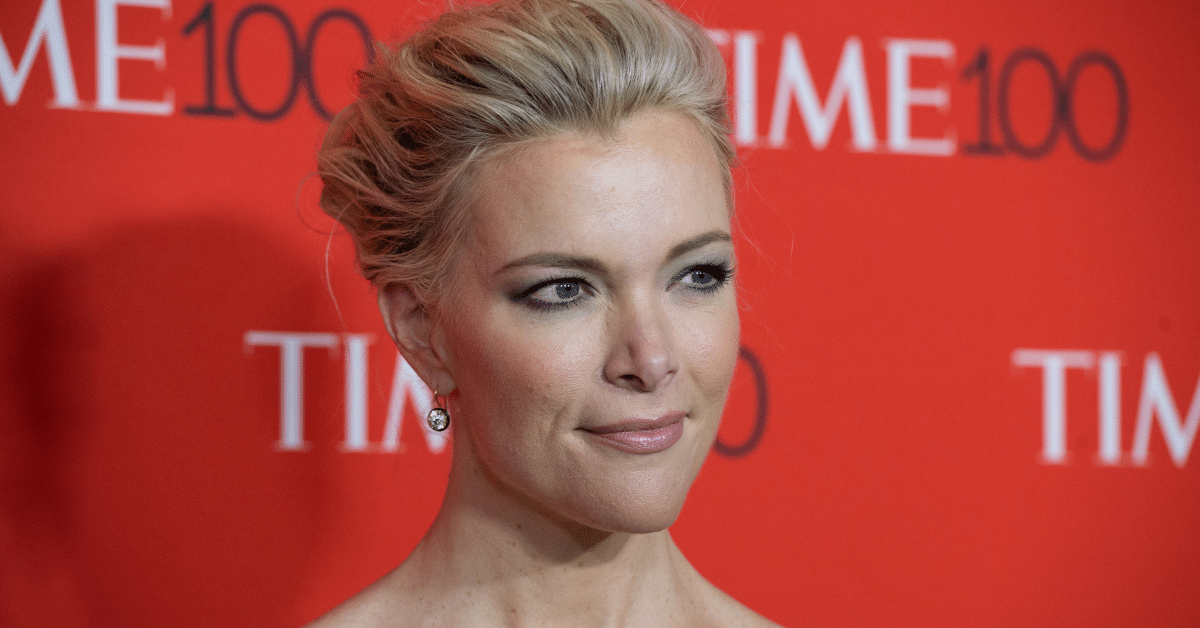 Megyn Kelly Says Brother Was 'Attacked By Thugs' As A Police Office