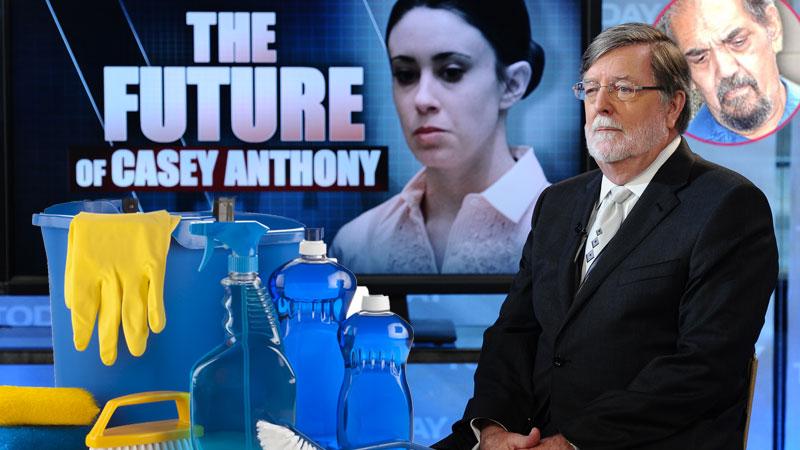Casey Anthony Is Cleaning House! Working As Attorney Cheney Mason's ...
