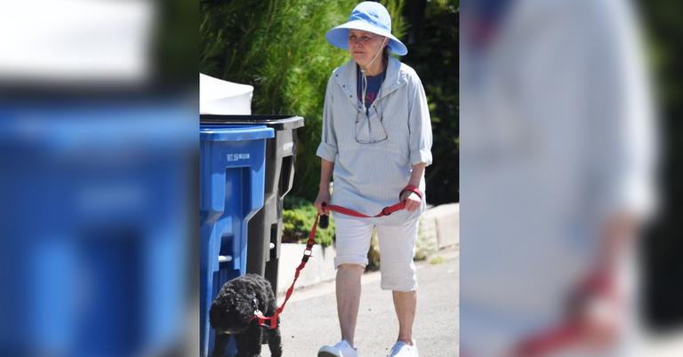 Frail Sally Field, 77, Looks Unrecognizable Walking Her Dog: Photos