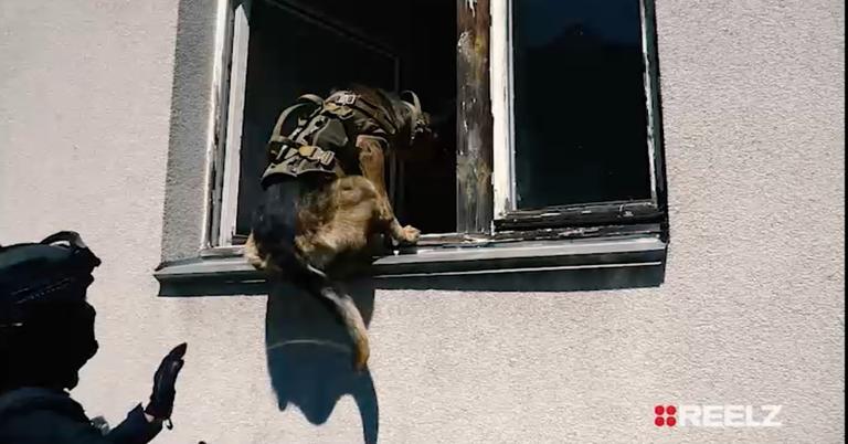 'On Patrol: Live' To Feature Real-Time Cop Work On TV