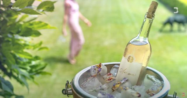 EXCLUSIVE: Meghan Markle’s Wine Criticized by Expert Tasters