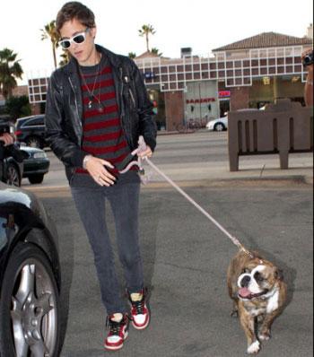 EXCLUSIVE DOCUMENTS: Samantha Ronson Dog To Be 'Humanely Destroyed' If ...