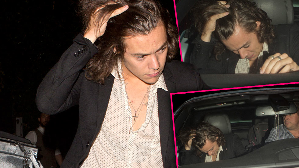 Up All Night? Harry Styles' Family & Friends 'Worried' After Singer ...