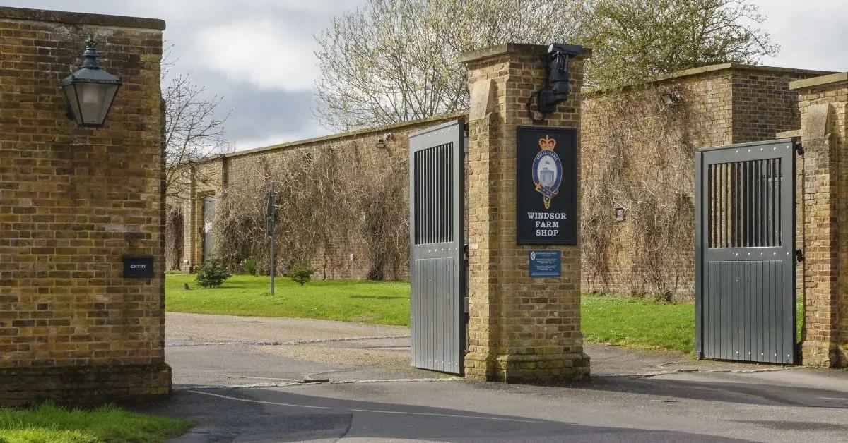 NEW VIDEO: Kate Middleton Reemerges With Prince William as Princess ...