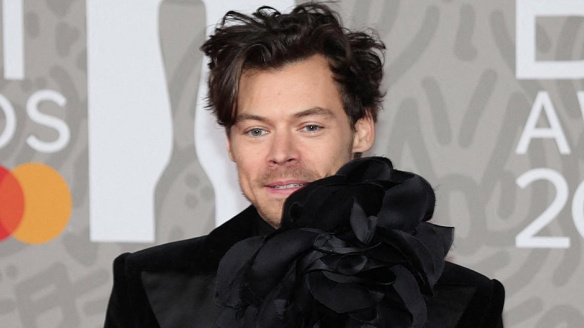 EXCLUSIVE: Radar Reveals Name of Harry Styles' New Musical Project
