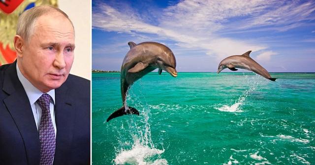 Vladimir Putin | Radar Online