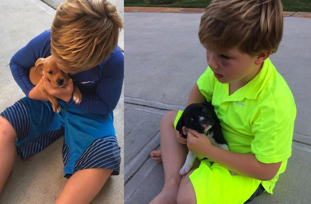 [VIDEO] Kim Zolciak’s Son Kash Biermann Plays With Animals & Visits ...
