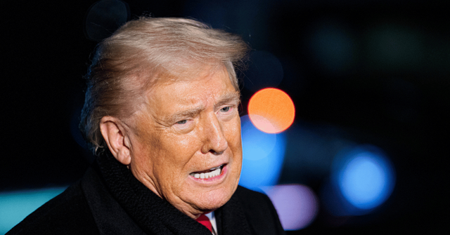 Trump Criticizes ICE Shooting Victim Alex Pretti For Carrying a Gun