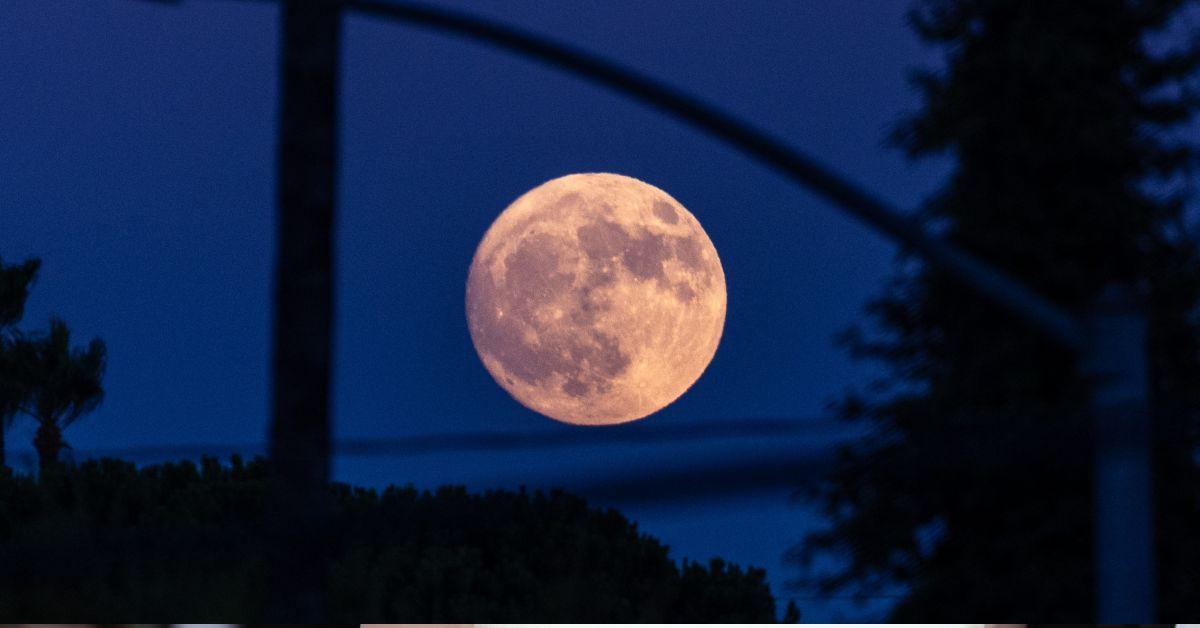 Elon Musk's Dream of NASA Going to Mars May be Rejected by Congress