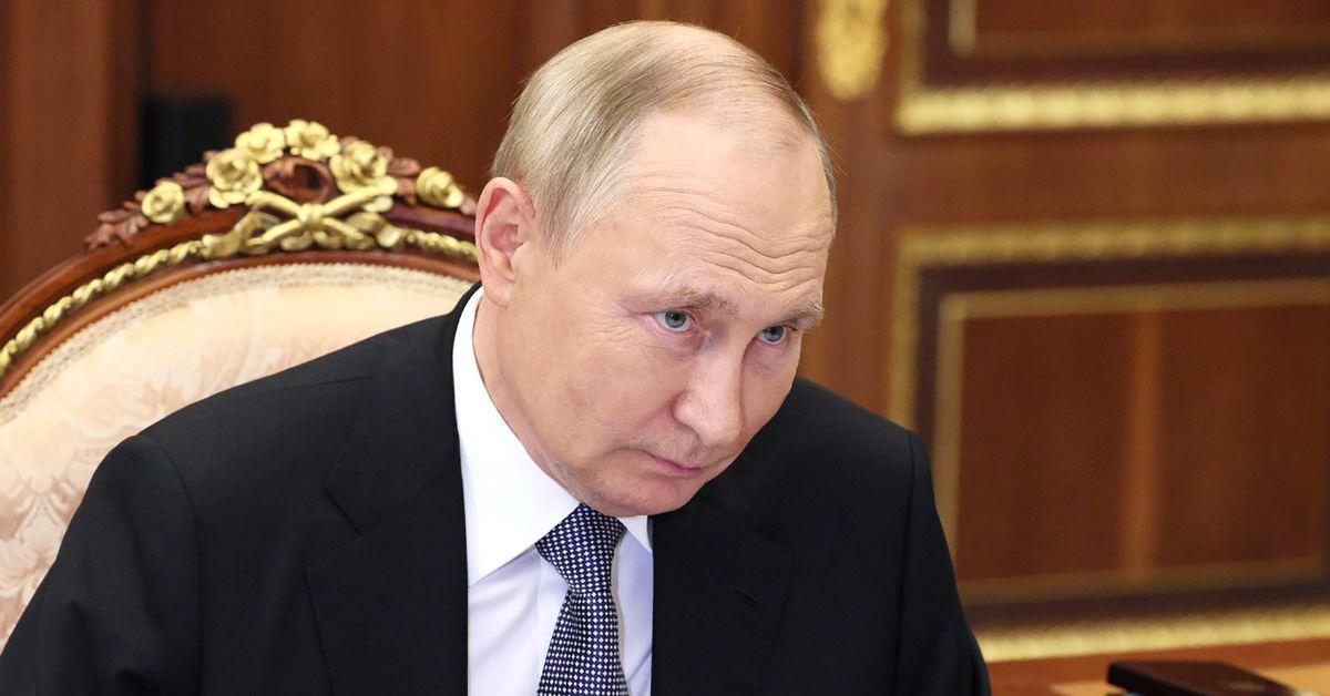 Putin's Soldiers Steal Animals From Zoo During Kherson Withdrawal