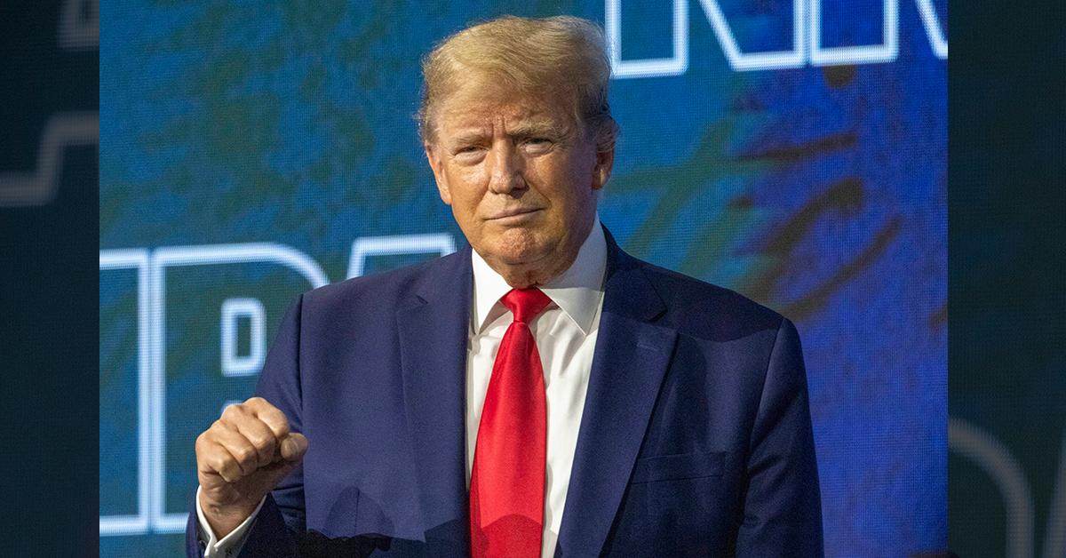 Defiant Donald Trump Unfazed With Melania Look-Alike After Hillary ...