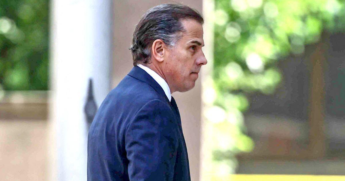 Hunter Biden's Baby Mama Says He's Not a 'Deadbeat Dad'