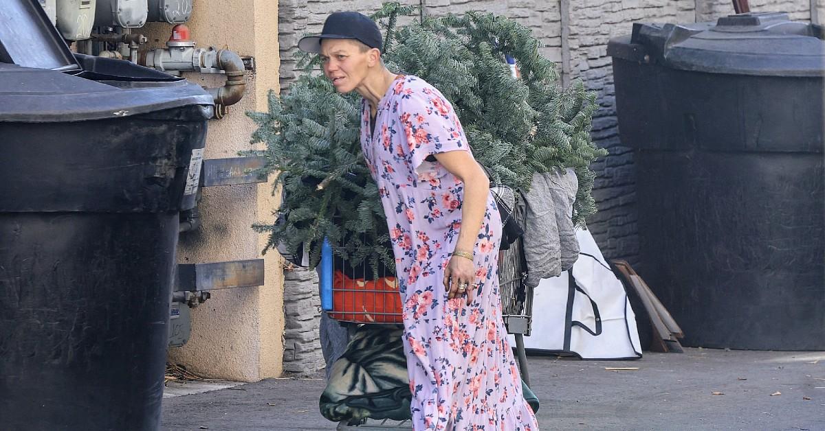 Jeremy Jackson's Homeless Ex Loni Willison Spotted Going Through Trash