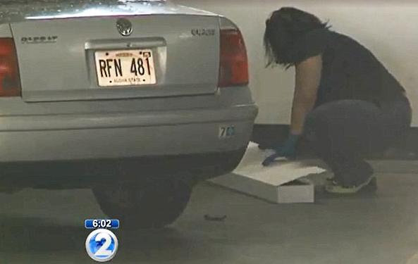 Pro Surfer Jill Hansen Charged With Attempted Murder