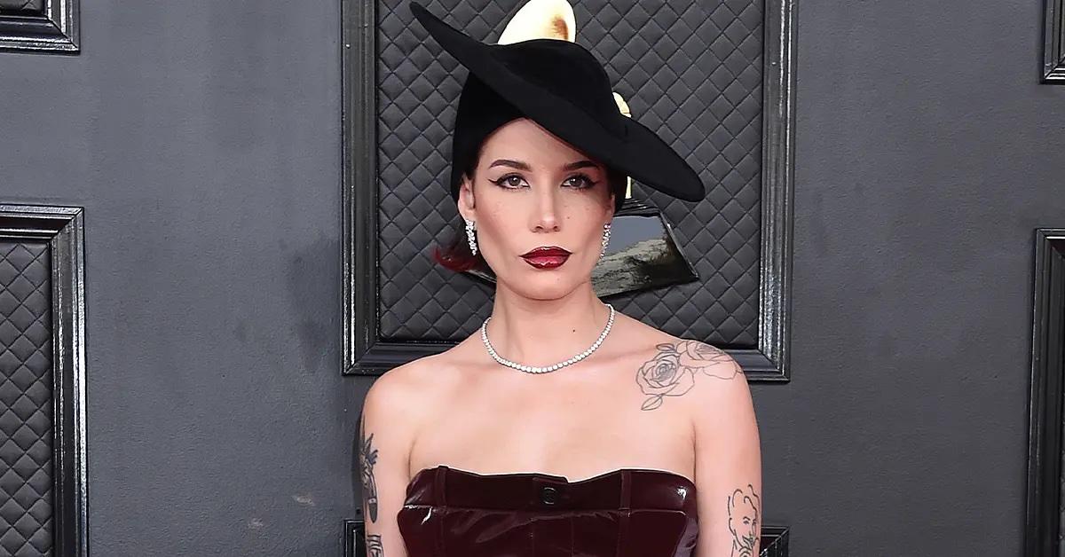 Halsey & Alev Aydin Split, Singer Asks Judge For Full Custody Of Son
